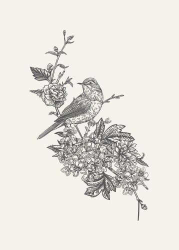 Set with birds black and white Royalty Free Vector Image