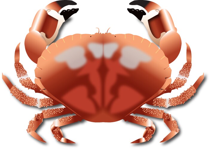 Crab Vector Images (over 41,000)