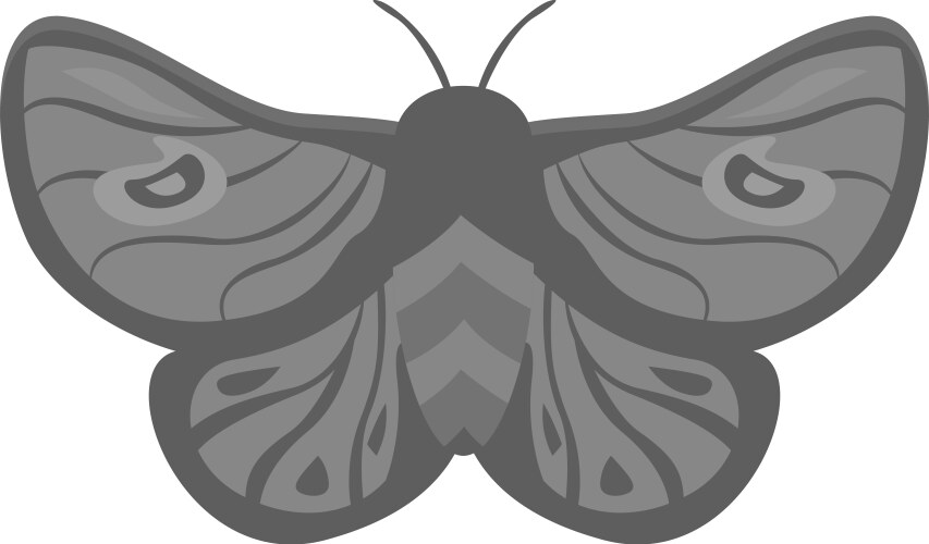 Butterfly Side View Vector Images (over 310)