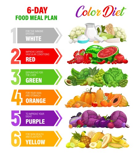 Nutrition and color diet infographic with charts Vector Image