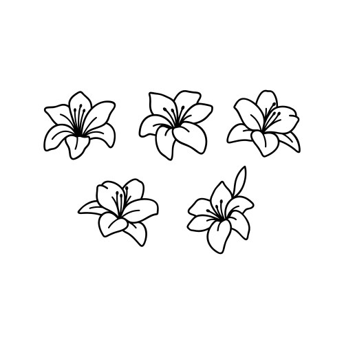 Lily Outline Vector Images (over 11,000)