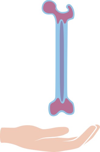 Cartoon of human bone anatomy Royalty Free Vector Image