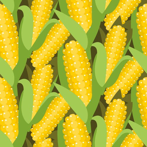Corn seamless pattern maize – Royalty-Free Vector | VectorStock