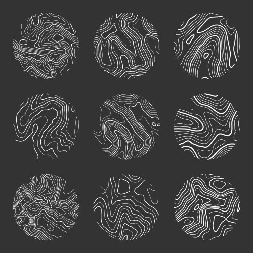 Topographic map with contour lines geographic Vector Image