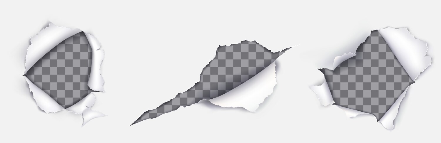 Torn paper rip holes in white sheet Royalty Free Vector