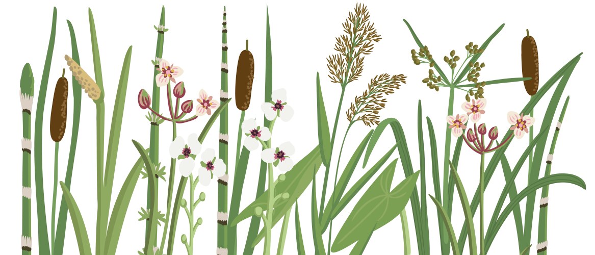 Water Plant Vector Images (over 160,000)