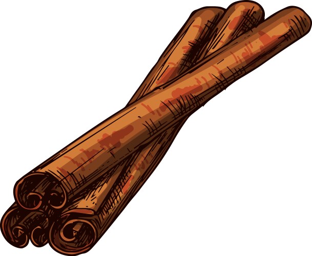 Realistic cinnamon sticks set Royalty Free Vector Image