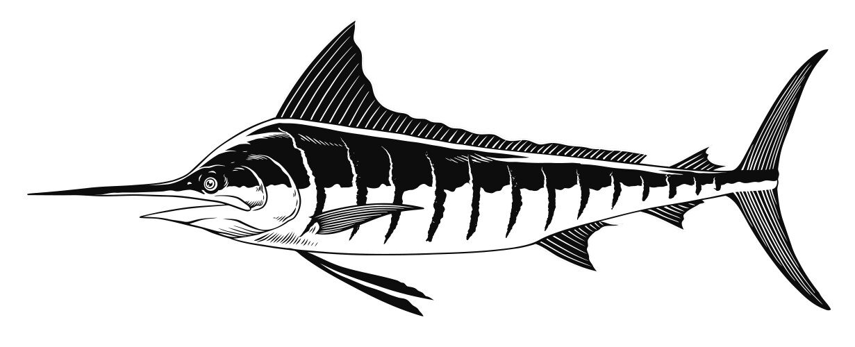 Black Marlin Vector Images (over 2,000)