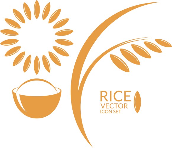 Wheat oats logo Royalty Free Vector Image - VectorStock