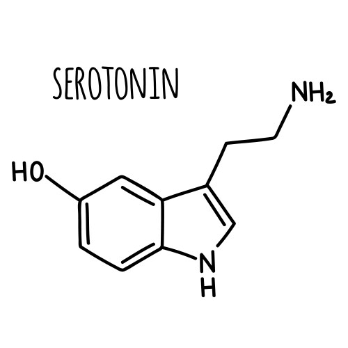 Serotonin Chemical Structure Royalty Free Vector Image