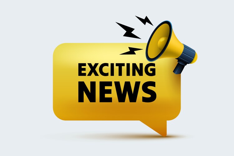 Important message megaphone announces news Vector Image