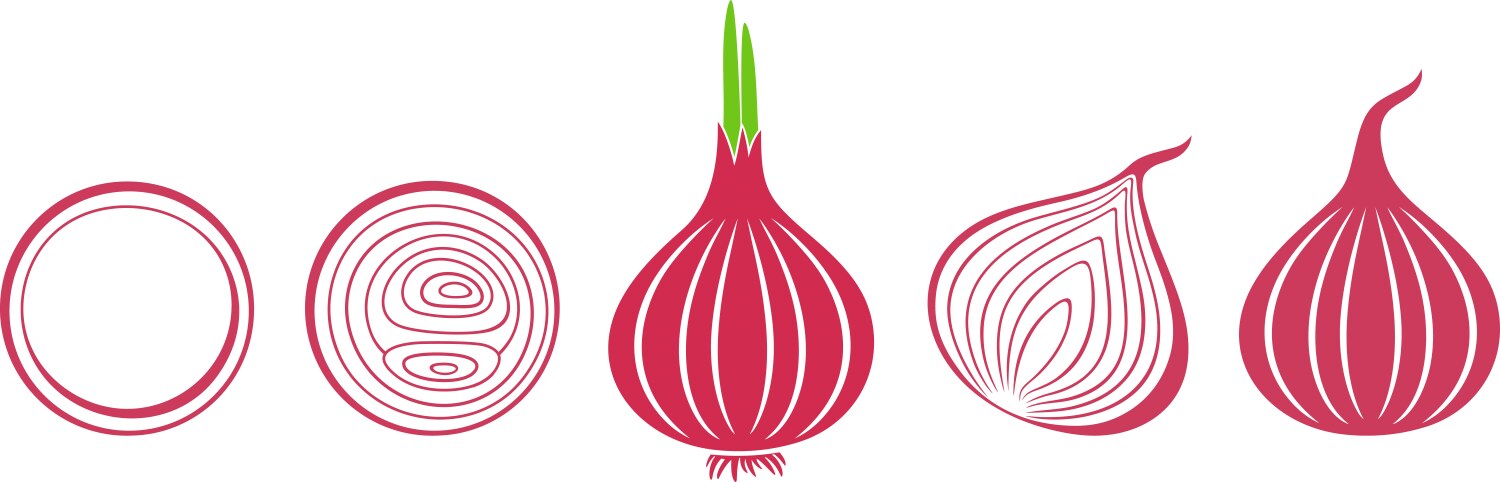 Onion Royalty Free Vector Image - VectorStock