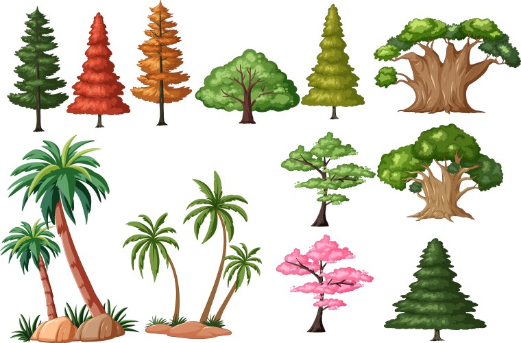 Anatomy of tree trunk Royalty Free Vector Image