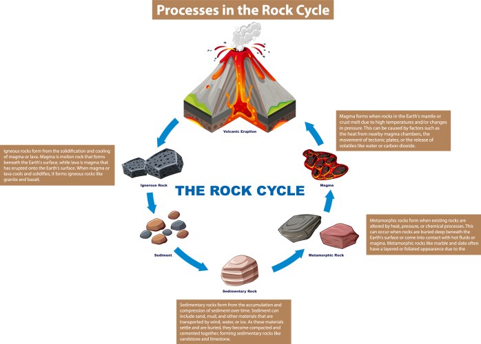 Rock cycle processes diagram Royalty Free Vector Image