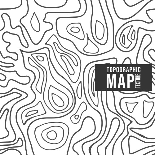 Topographic map patterns abstract pattern Vector Image