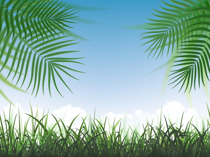 Jungle Grass Background Vector Images (over 10,000)