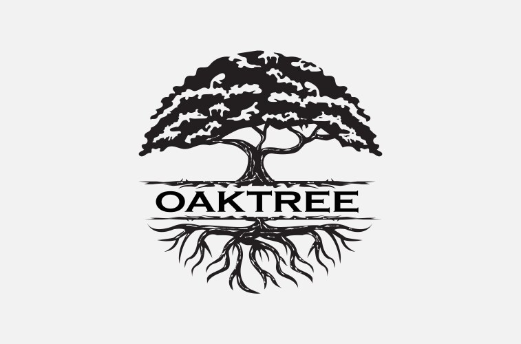 Oak family tree of life logo design creeper root Vector Image