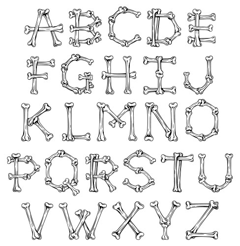 Bone font alphabet letters Royalty Free Vector Image