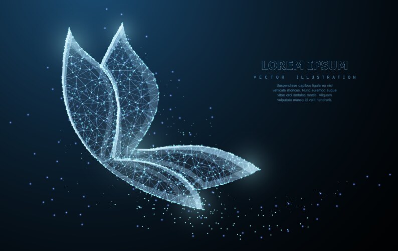 Butterfly low polygonal wireframe and mesh Vector Image