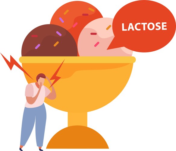 Lactose tolerance intolerance diagram medical Vector Image