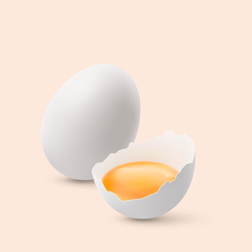 Chicken Vector Images (over 220,000)