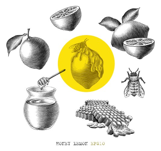 Lemon Vector Images (over 140,000)