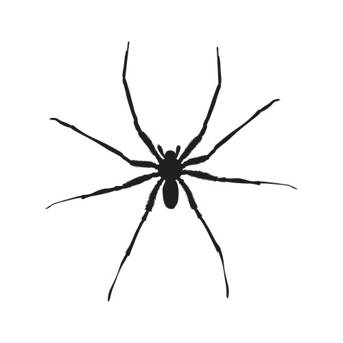 Spider Vector Images (over 74,000)