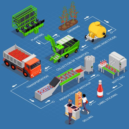 Rice production isometric flowchart Royalty Free Vector