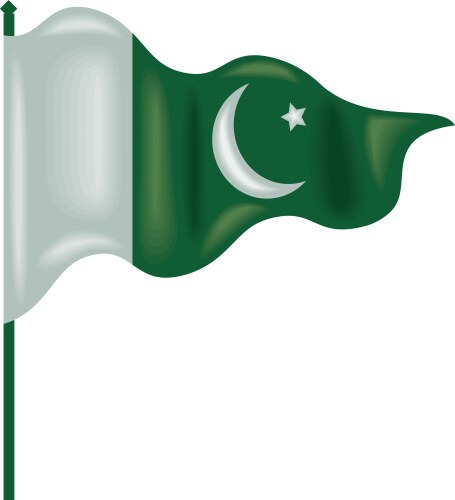 Pakistan day national flag Royalty Free Vector Image