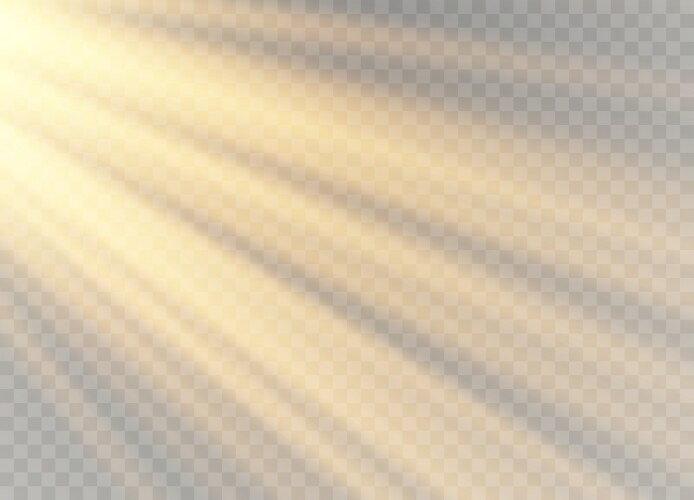 Transparent sunlight special lens flare light Vector Image