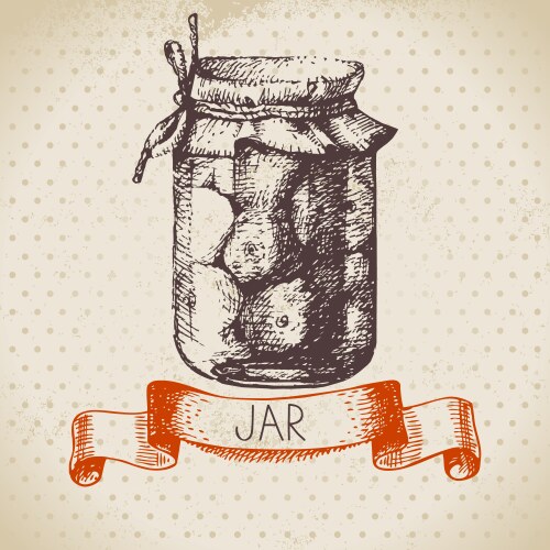 Rustic mason and canning jars hand drawn set Vector Image