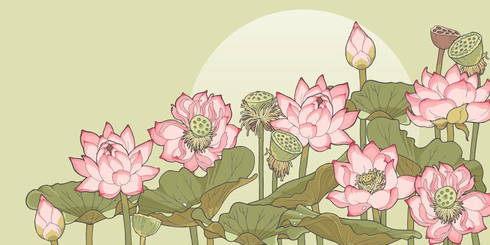 Lotus Pond Vector Images (over 2,500)