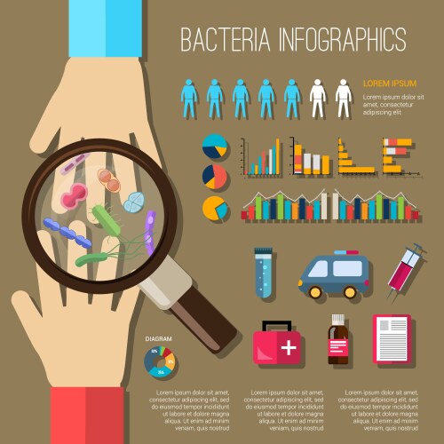 Probiotics infographic set Royalty Free Vector Image