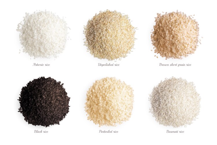 Rice product realistic composition Royalty Free Vector Image