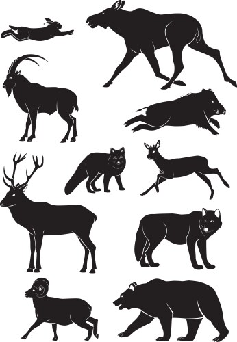 Wild Animals Vector Images (over 800,000)