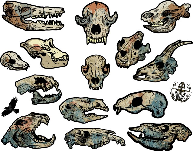 Cartoon Skull Vector Images (over 85,000)