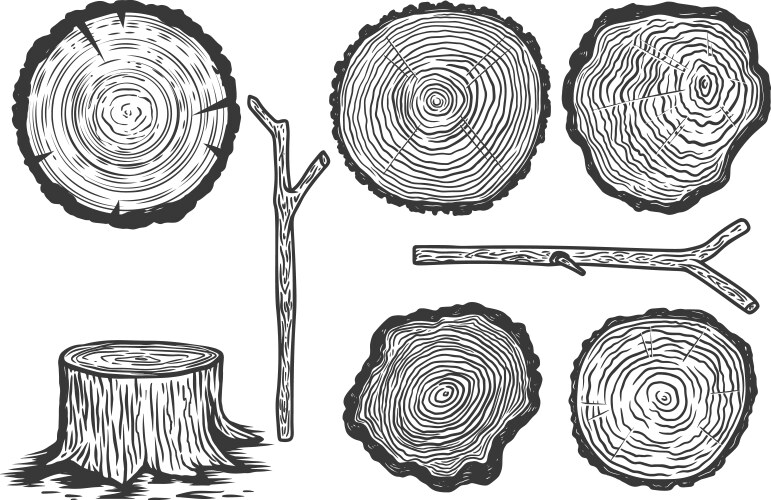 log slice clipart