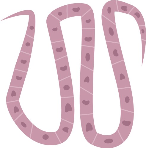 Helminth Vector Images (over 700)