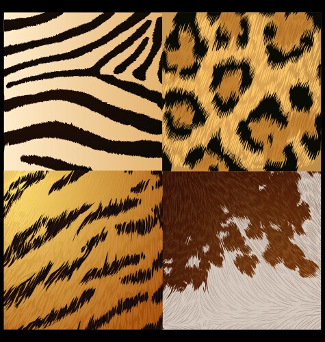 Animals Skin Vector Images (over 48,000)