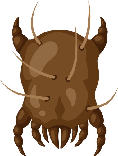Dust Mite Vector Images (over 1,000)
