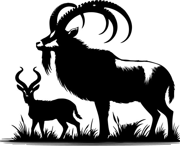 Simple mouflon art white background Royalty Free Vector