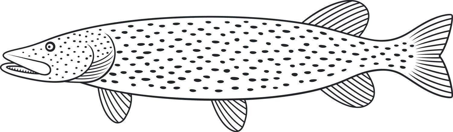 Pike Outline Vector Images (over 1,300)