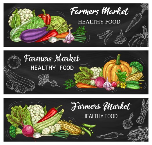 Farm vegetables chalk sketches on chalkboard Vector Image