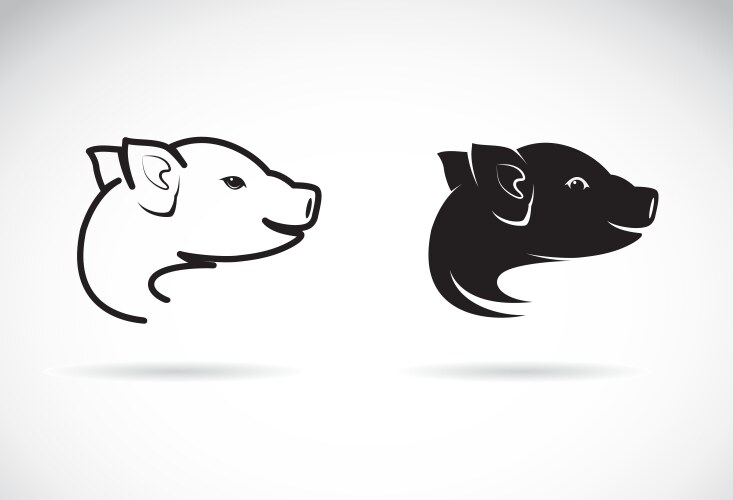 Pig head design on white background farm Vector Image