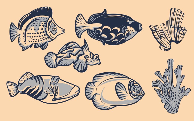 Colored seamless pattern with coral reef fish Vector Image