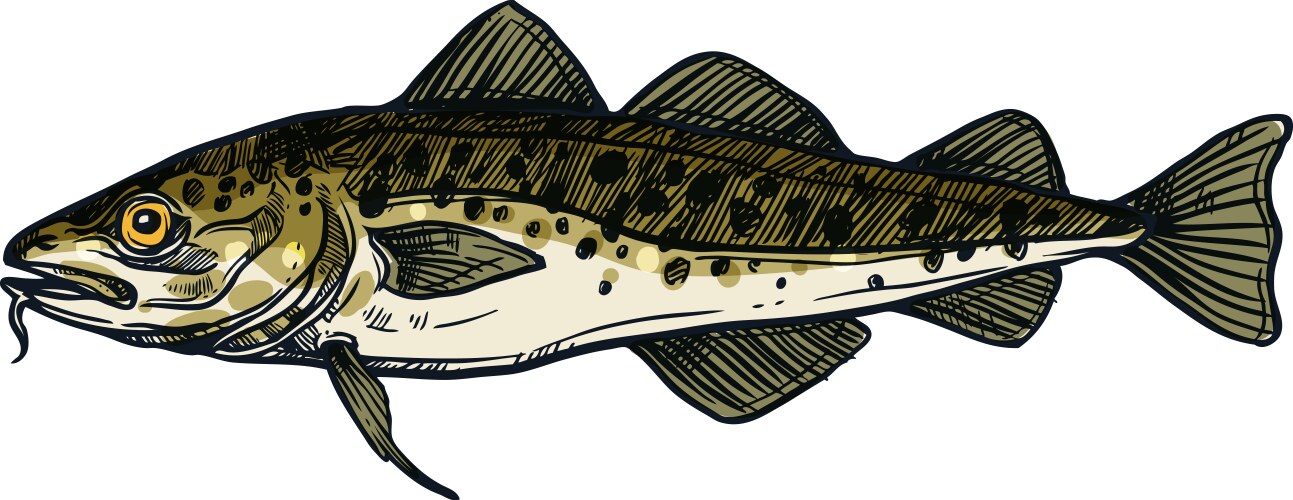 Gamefish Vector Images (74)