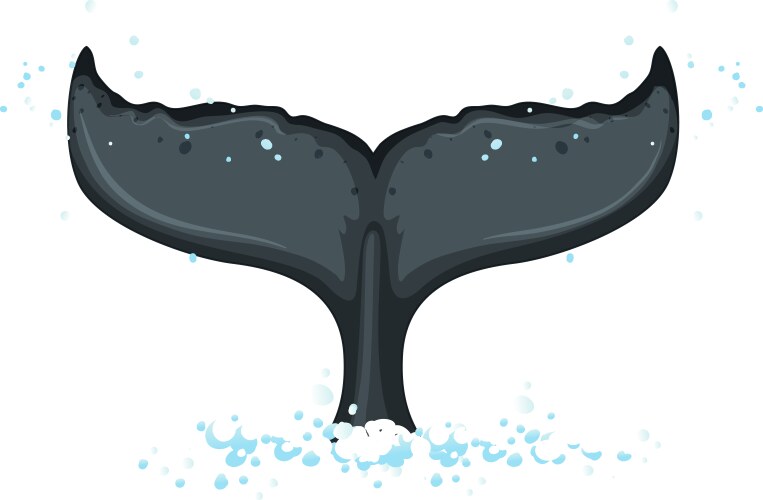 Tail Vector Images (over 180,000)