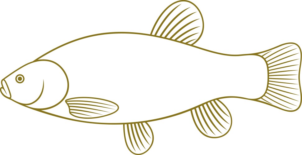 Tench Royalty Free Vector Image - VectorStock
