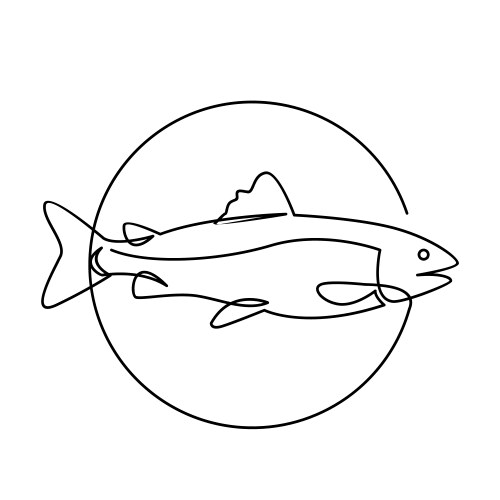 Salmon fish single line Royalty Free Vector Image