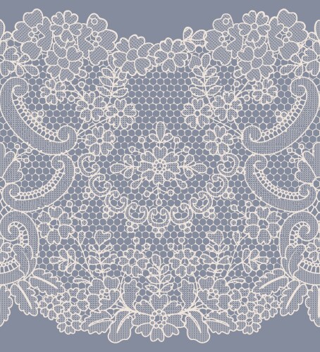 Seamless white lace Royalty Free Vector Image - VectorStock